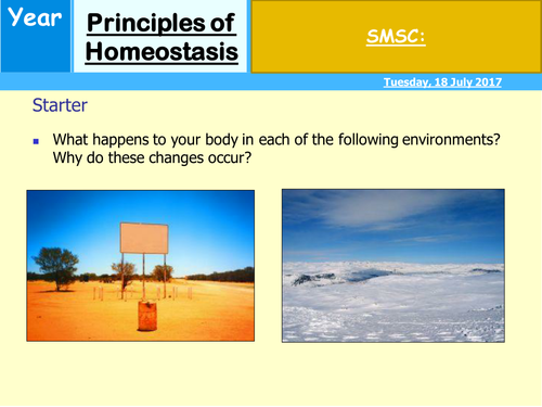 Principles of homeostasis | Teaching Resources Principles of homeostasis | Teaching Resources