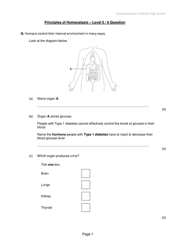 Principles of homeostasis | Teaching Resources Principles of homeostasis | Teaching Resources
