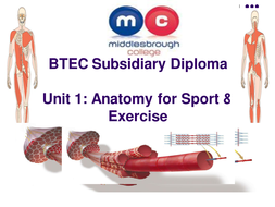 BTEC Level 3 Unit -1 Principles of Anatomy and Physiology Types of ...