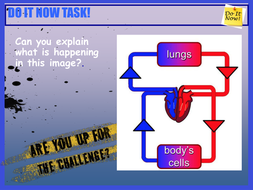 OCR GCSE PE 9-1 2016 Unit 1.4 (Cardiovascular System) Double ...