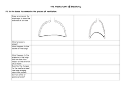 The mechanism of breathing worksheet | Teaching Resources