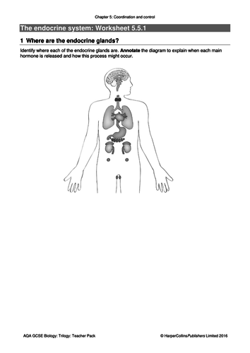 NEW AQA TRILOGY 9-1 UNIT 5 - HOMEOSTASIS AND RESPONSE | Teaching Resources