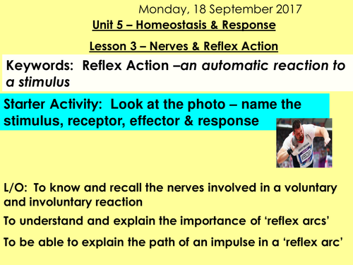 NEW AQA TRILOGY 9-1 UNIT 5 - HOMEOSTASIS AND RESPONSE | Teaching Resources