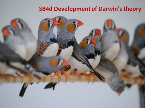 SB4c Development of Darwin's Theories | Teaching Resources