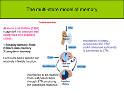 AQA GCSE Psychology 2019 spec – Lesson 4 The multi-store model of ...