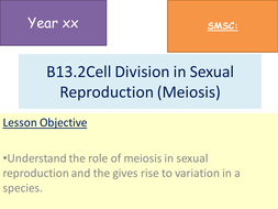 Meiosis Lesson - AQA GCSE (4.6.1) (B13.2) | Teaching Resources