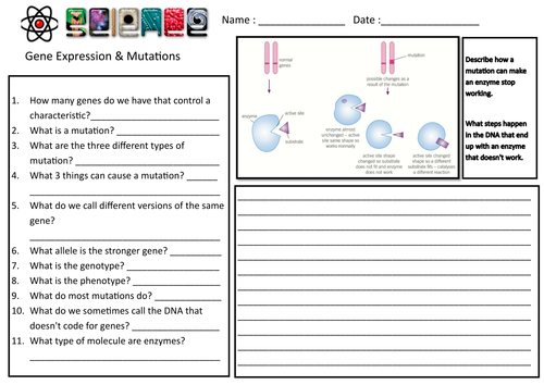 Gene Expression And Mutation H Aqa Gcse 4 6 1 B13 6 Teaching