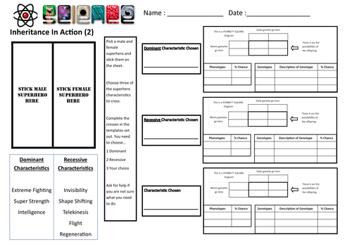 Genetic (Mono-hybrid) Crosses - AQA GCSE (4.6.1) (B13.7 | Teaching ...