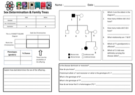 Sex Determination & Family Trees Lesson - AQA GCSE (4.6.1) (B13.8 ...