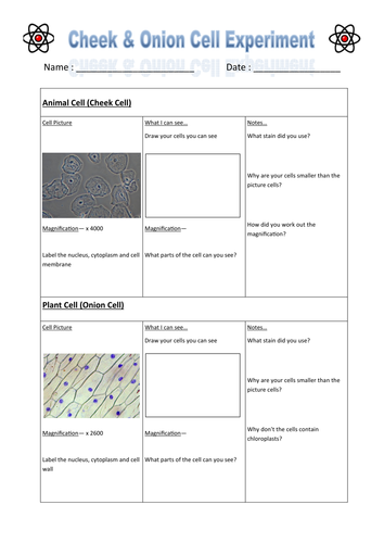 Cells / Tissues / Organ Systems - Pupil Worksheet Bundle - BIOLOGY ...