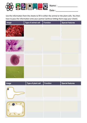 Cells / Tissues / Organ Systems - Pupil Worksheet Bundle - BIOLOGY ...