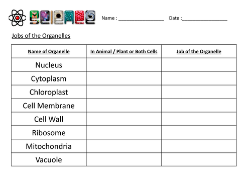Cells / Tissues / Organ Systems - Pupil Worksheet Bundle - BIOLOGY ...