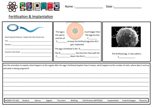 Reproduction / Menstruation / Plant and Human Sexual Organ Systems ...