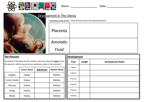 Reproduction / Menstruation / Plant and Human Sexual Organ Systems ...