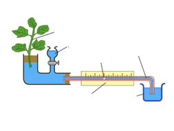 AQA GCSE Biology B4 Organising animals and plants | Teaching Resources