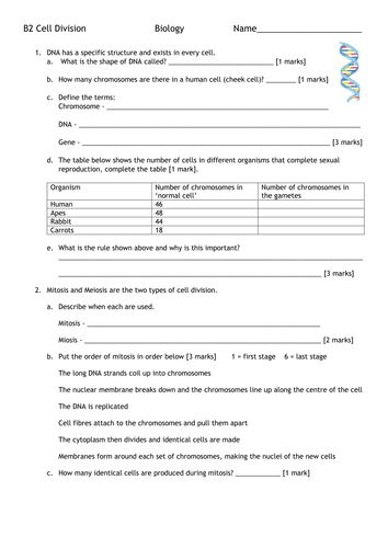 B2 Cell Division FORMATIVE ASSESSMENT and MARK SCHEME *NEW SPEC ...