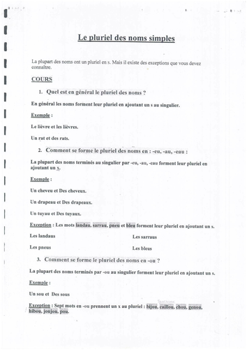 Plural forms of nouns and numerals in French | Teaching Resources