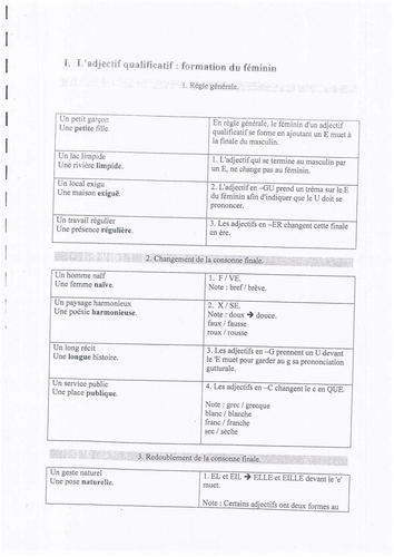 Feminine gender of adjectives in French (formes féminines des adjectifs ...