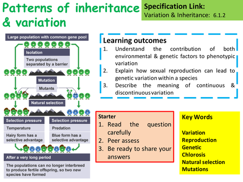 A Level Biology Causes of Variation Lesson & Activities | Teaching ...