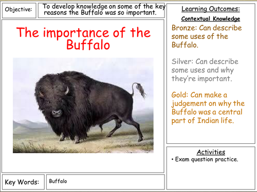 American West - Importance of the buffalo. | Teaching Resources
