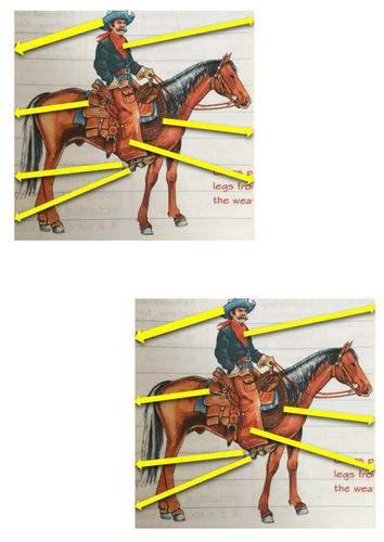 American West - Cowboys. | Teaching Resources