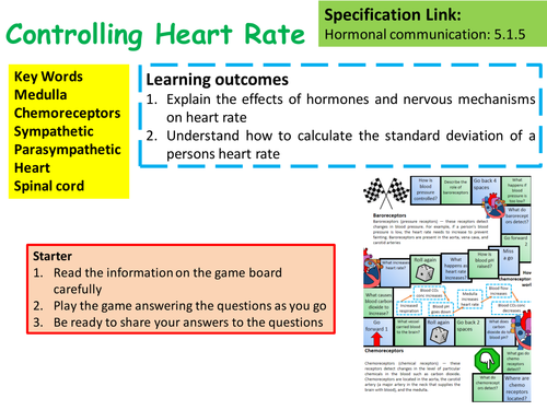 New OCR A2 Biology Controlling Heart Rate Lesson | Teaching Resources