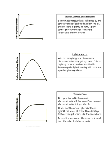 AQA 9-1 Biology Rates of Photosynthesis | Teaching Resources