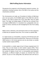 New OCR A2 Biology DNA Profiling Lesson | Teaching Resources