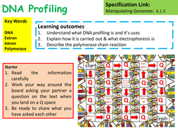 New OCR A2 Biology DNA Profiling Lesson | Teaching Resources
