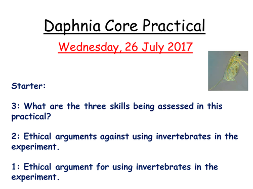 Daphnia Core Practical SNAB Biology A level | Teaching Resources