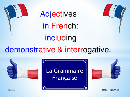 Adjectives in French: including demonstrative & interrogative ...