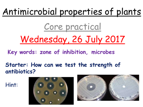 Antimicrobial properties of plants core practical- SNAB A level Biology | Teaching Resources