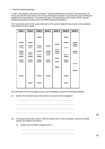 Gel electrophoresis core practical- SNAB Biology A level | Teaching ...