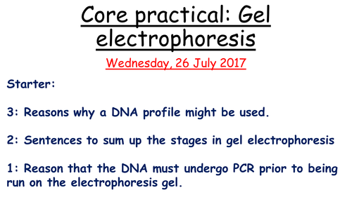 Gel electrophoresis core practical- SNAB Biology A level | Teaching ...