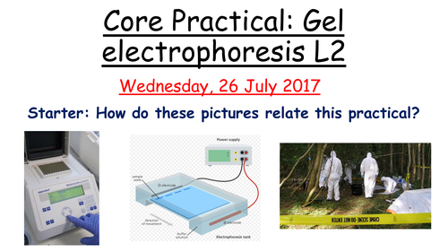 Gel electrophoresis core practical- SNAB Biology A level | Teaching ...