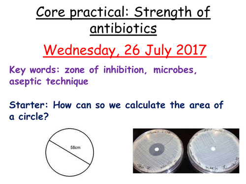 Strength of antibiotics core practical- SNAB A level Biology | Teaching ...