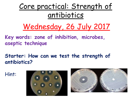Strength of antibiotics core practical- SNAB A level Biology | Teaching ...