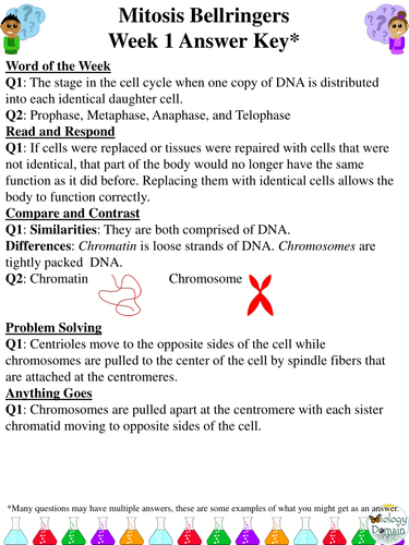 Two weeks of Mitosis Bellringers Warm Ups with Answer Key | Teaching ...