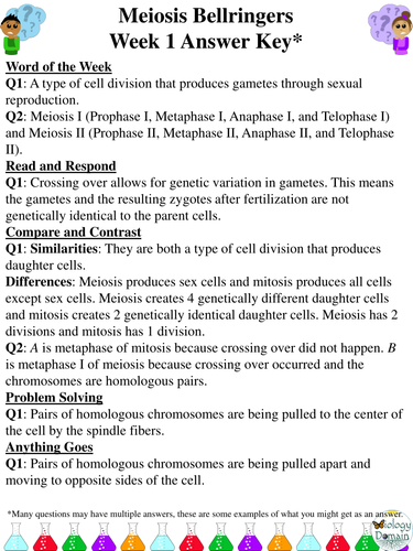 Five weeks of Mitosis and Meiosis Bellringers Warm Ups with Answer Key ...