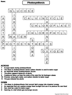Photosynthesis Crossword Puzzle | Teaching Resources