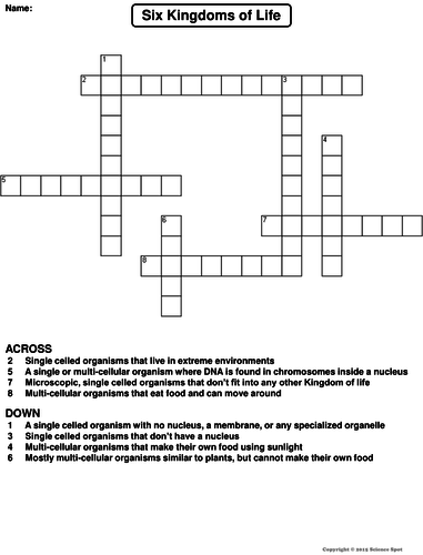 Six Kingdoms of Life Crossword Puzzle | Teaching Resources