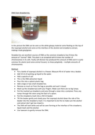 Extracting DNA from Strawberries - practical and questions. | Teaching ...
