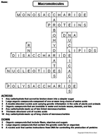 Macromolecules Crossword Puzzle | Teaching Resources