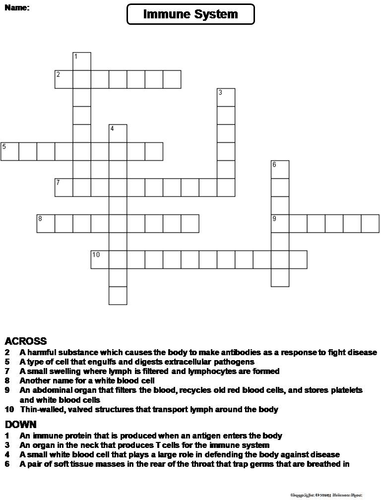 Anatomy Crossword Puzzles Printable Word Search Puzzles Human Anatomy