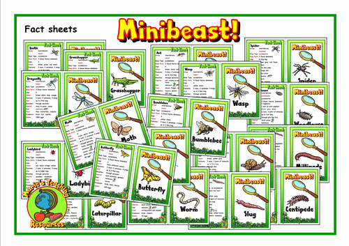 Minibeasts Fact Sheets | Teaching Resources