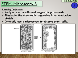 STEM KS4 Microscopy 3 (Plant Cells) | Teaching Resources