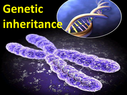 Genetic inheritance | Teaching Resources