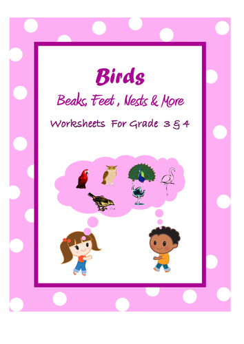 Birds Adaptations - Beaks, Feet, Nests and More | Teaching Resources