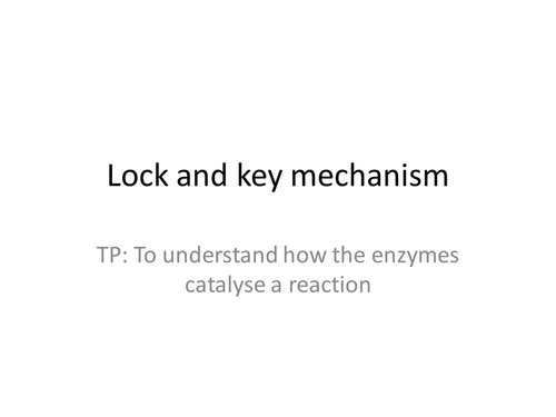 Lock and key mechanism- Enzymes | Teaching Resources