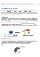 GCSE Biology 4.1 Stem Cells | Teaching Resources